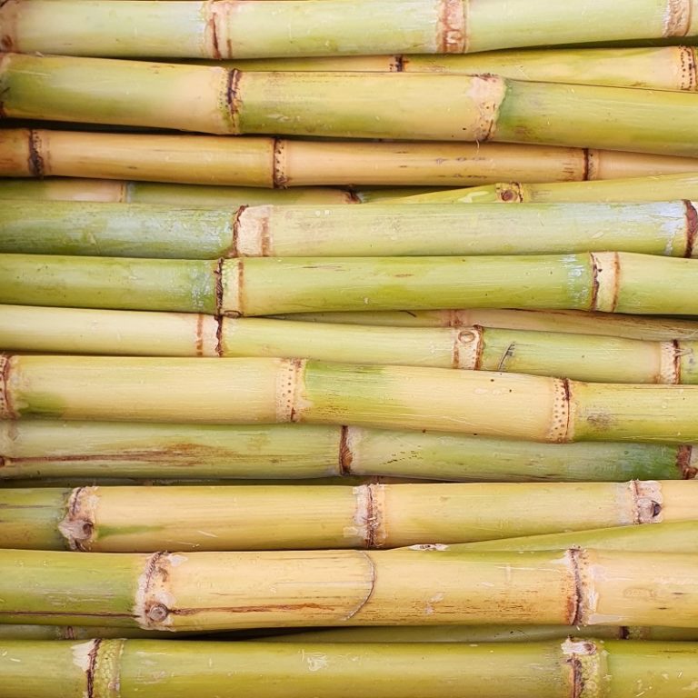 1 Ton Sugarcane Washed - OZ Cane Juice