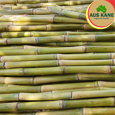 10 kg Bundle Sugarcane Sticks - OZ Cane Juice