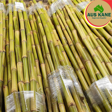 10 kg Bundle Sugarcane Sticks - OZ Cane Juice